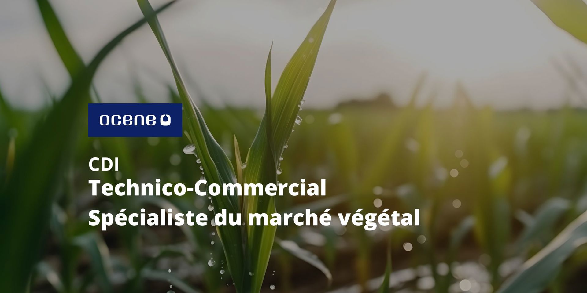 Technico-commercial Traitement d'Eau marché Agricole F/H - CDI à Dijon ...