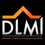 Candidature spontanée | DLMI